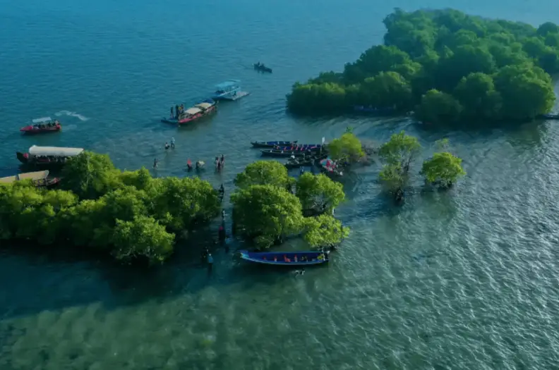 Best Houseboats in Kollam | Explore Ashtamudi, Sambranikodi & Munroe Island